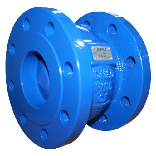 Cast Iron Axial Disc Check Valve