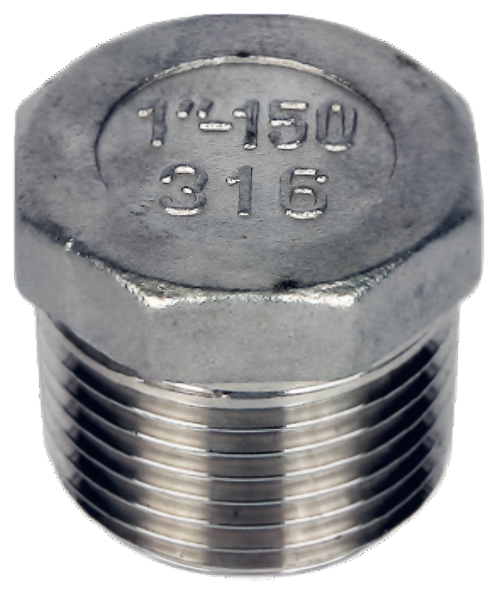 Stainless Steel 316 Hexagon Hollow Plug BSPT 150lbs